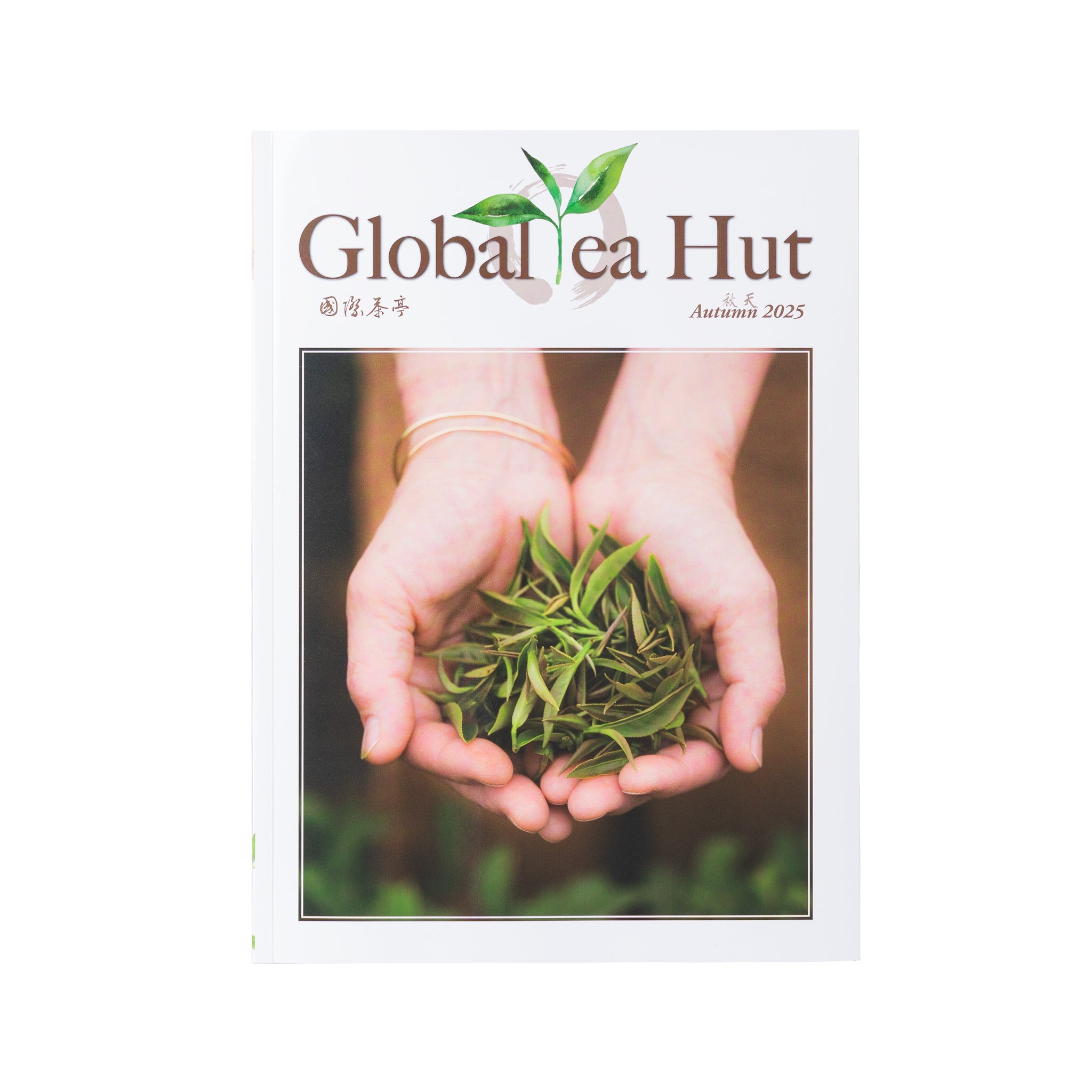 Global Tea Hut - Autumn 2025